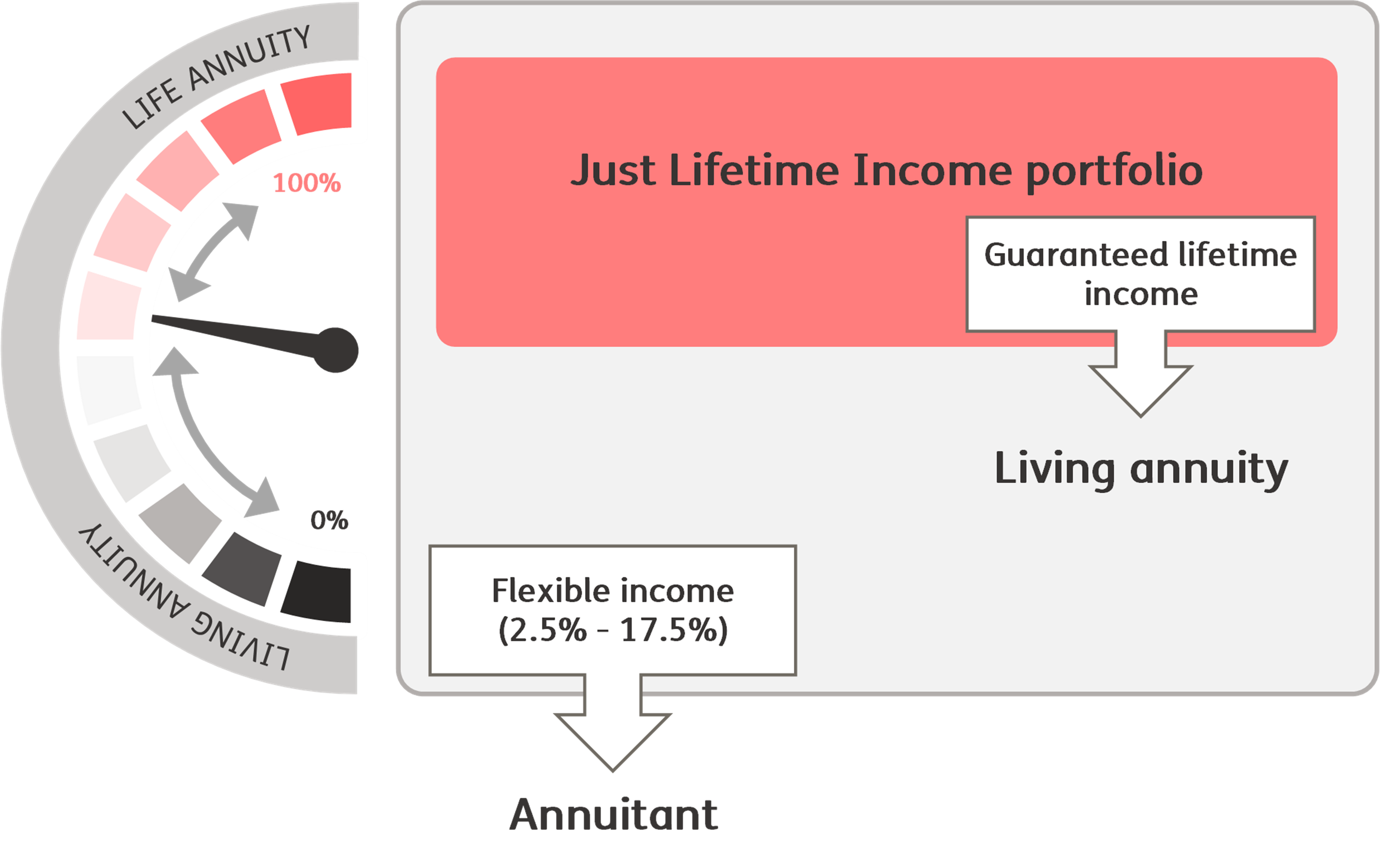 Just Lifetime Income In A Living Annuity